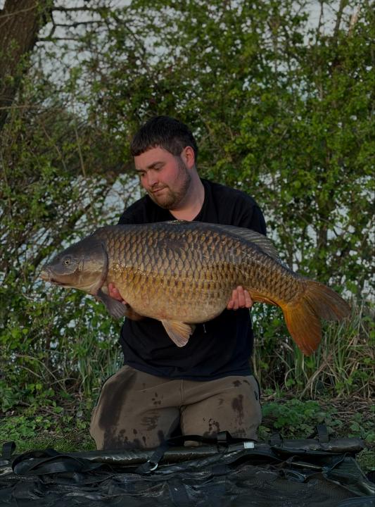 Pb common | Total Carp